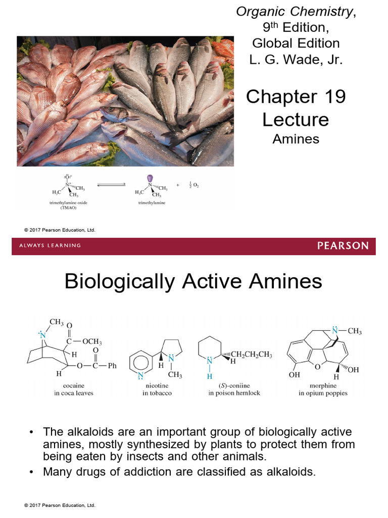 Ch 19_Amines | Download Free PDF | Amine | Organic Chemistry