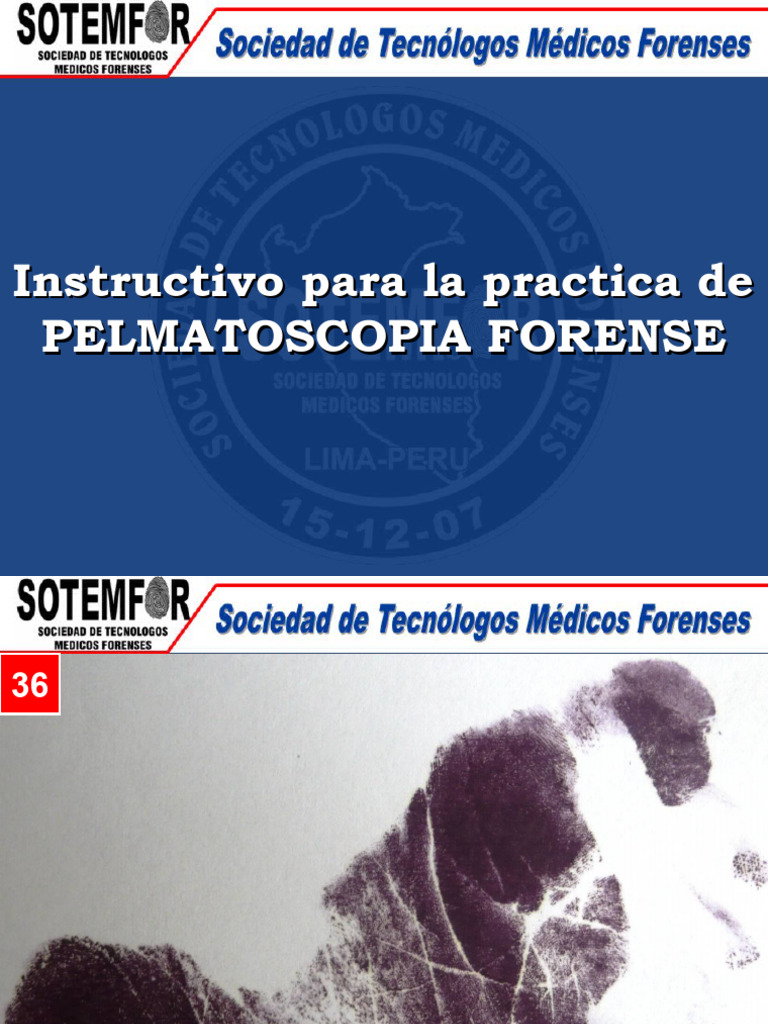 Instructivo para La Practica de Pelmatoscopia Forense | PDF | Ángulo ...