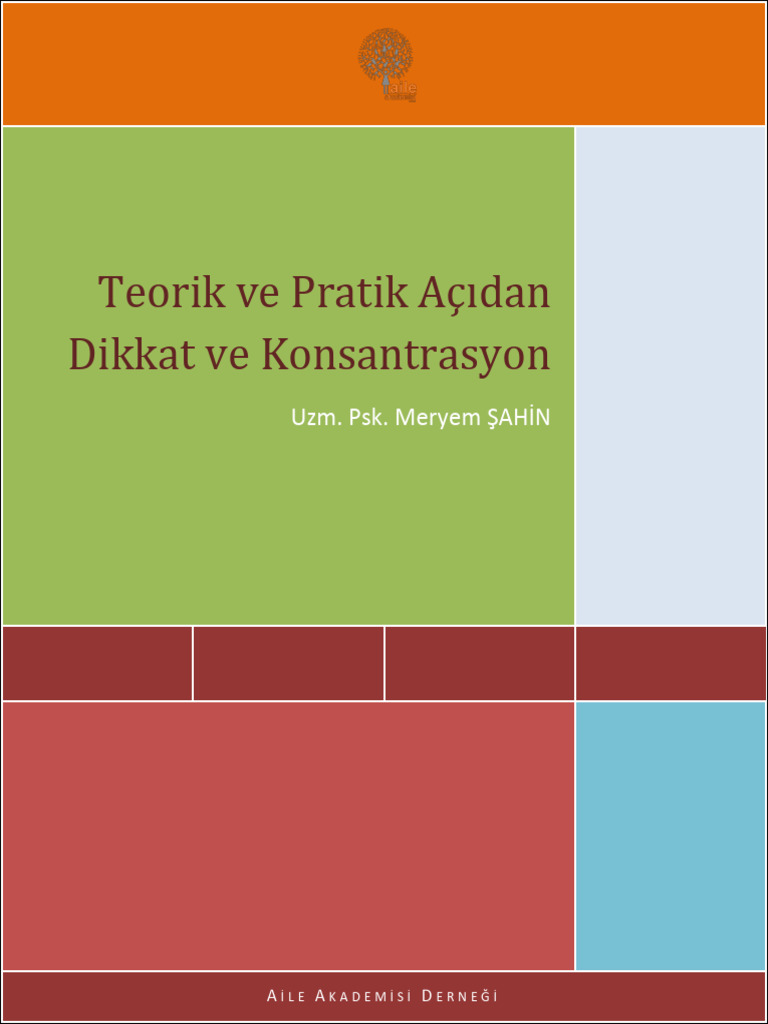 Teorik Ve Pratik Acidan Dikkat Ve Konsantrasyon | PDF