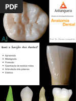 Aula 01 - Anatomia e Escultura Dental | PDF | Dente | Odontologia