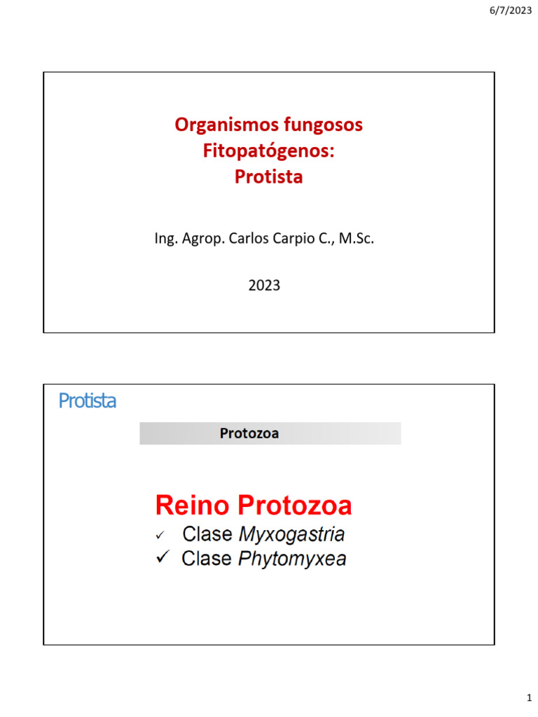 Fito | PDF | Sistema reproductivo | Nematodo