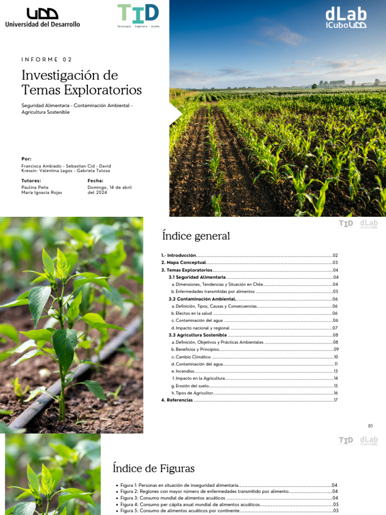 Presentación Universitaria Agricultura e Industria Fotográfico Blanco | PDF | Agua | Agricultura