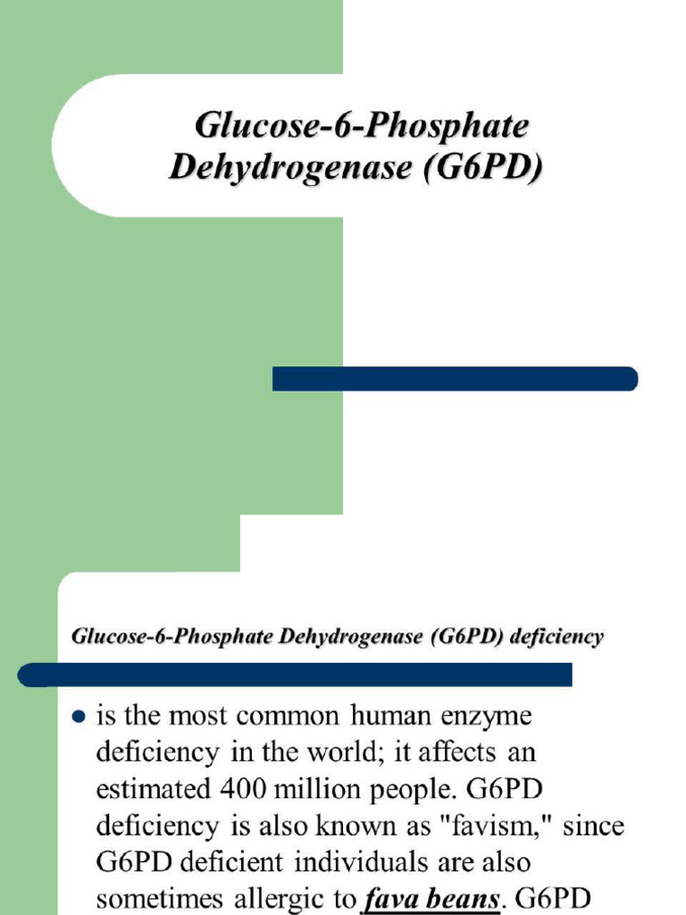 G 6 PD | PDF