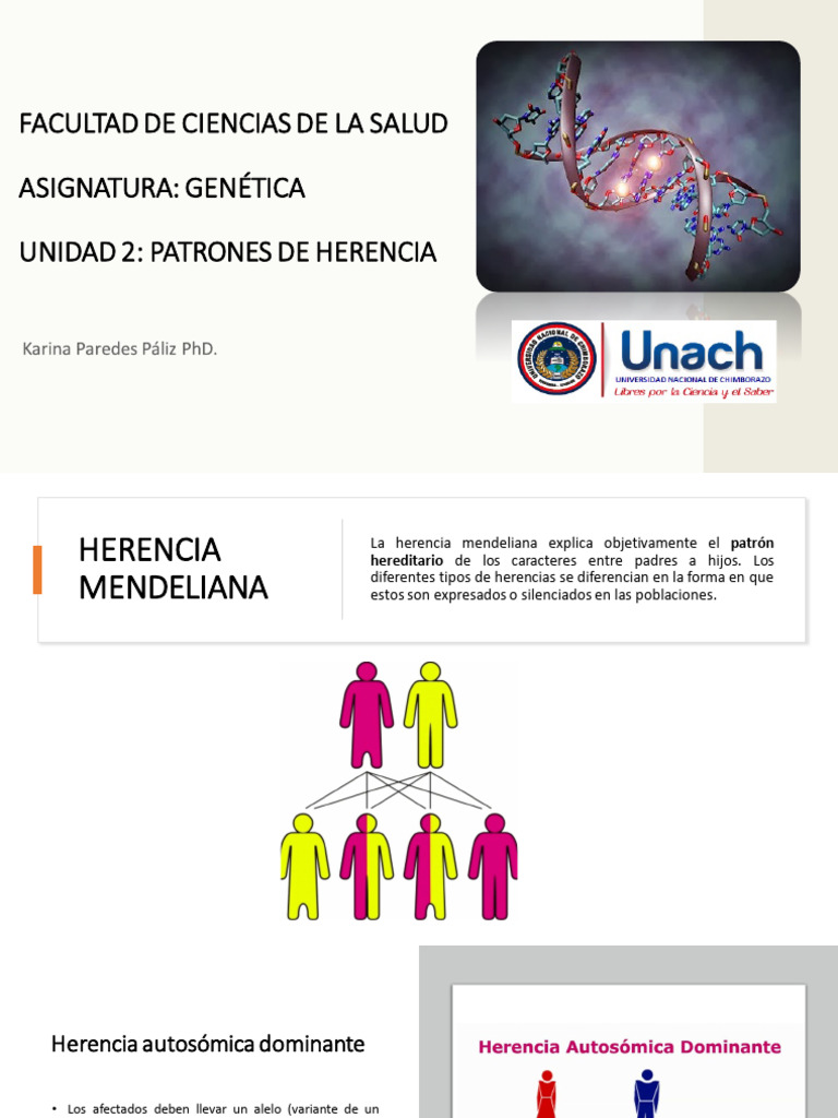 Clase 7. Herencia Mendeliana y No Mendeliana | Descargar gratis PDF | Adn mitocondrial ...