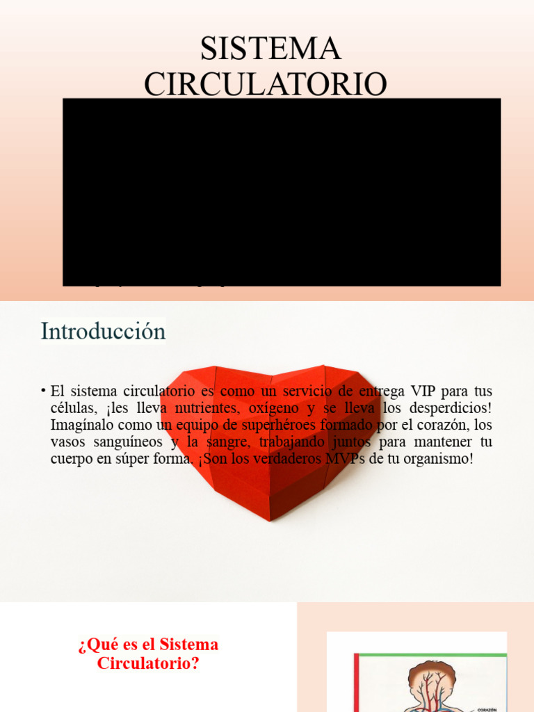 Sistema Circulatorio | PDF | Sistema circulatorio | Corazón