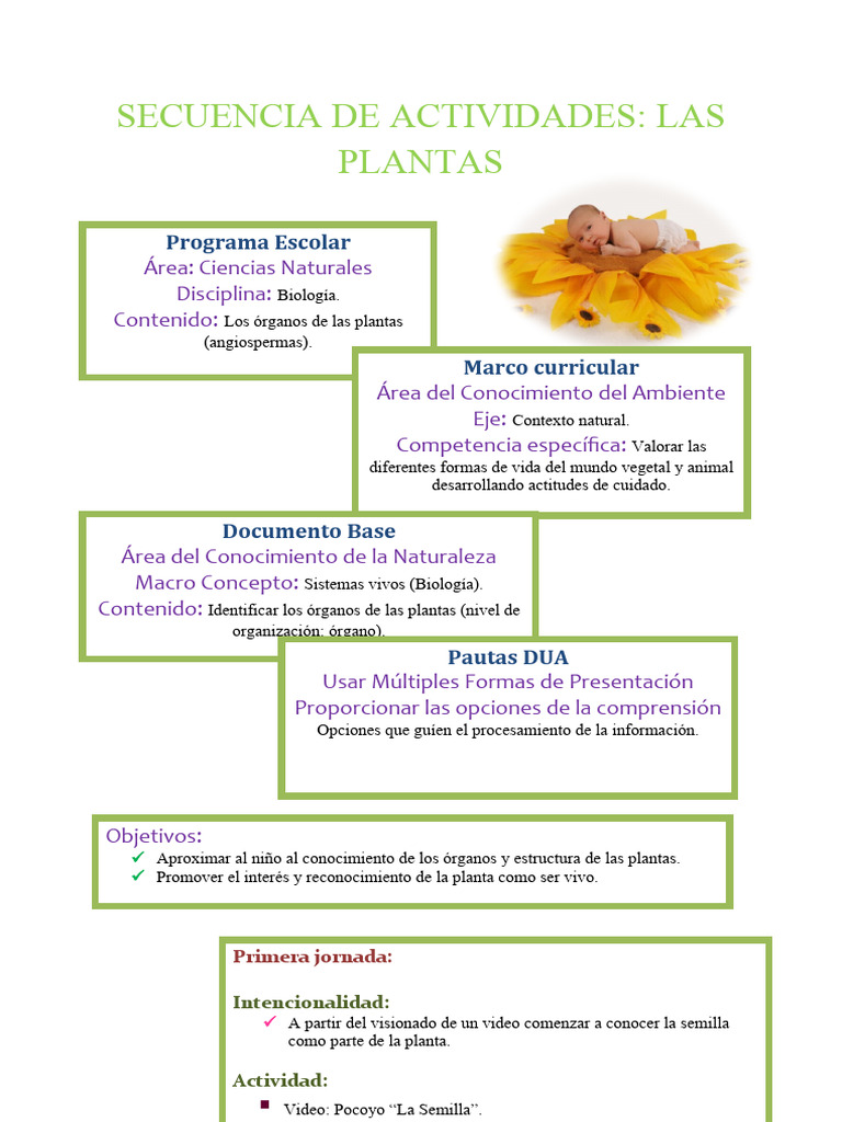 A - Secuencia Biología. Las Plantas | PDF | Semilla | Biología