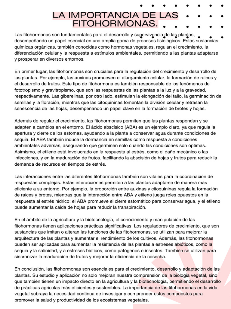 Carta Agradecimiento Negocio Minimalista Corporativo Blanco y Negro - 20240618 - 183049 - 0000 ...