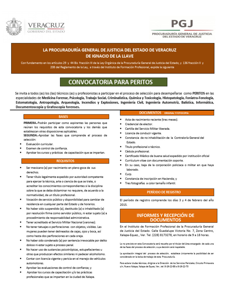 Convocatoria Peritos | PDF | Documento de identidad