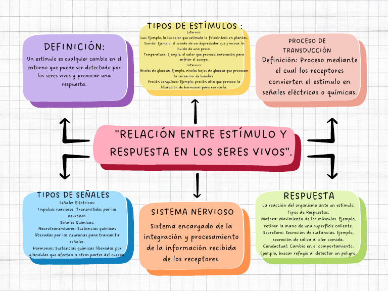 Mapa Conceptual Doodle A Mano Multicolor - 20240618 - 182333 - 0000 | PDF | Neurona | Hormona