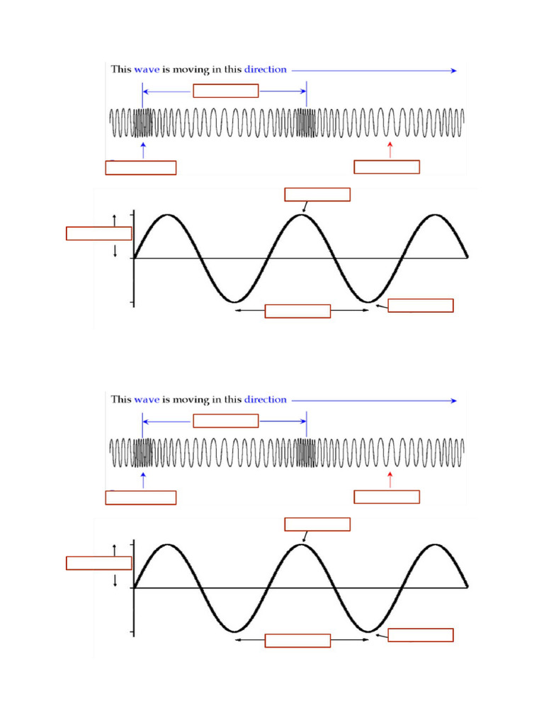 Label The Wave | PDF