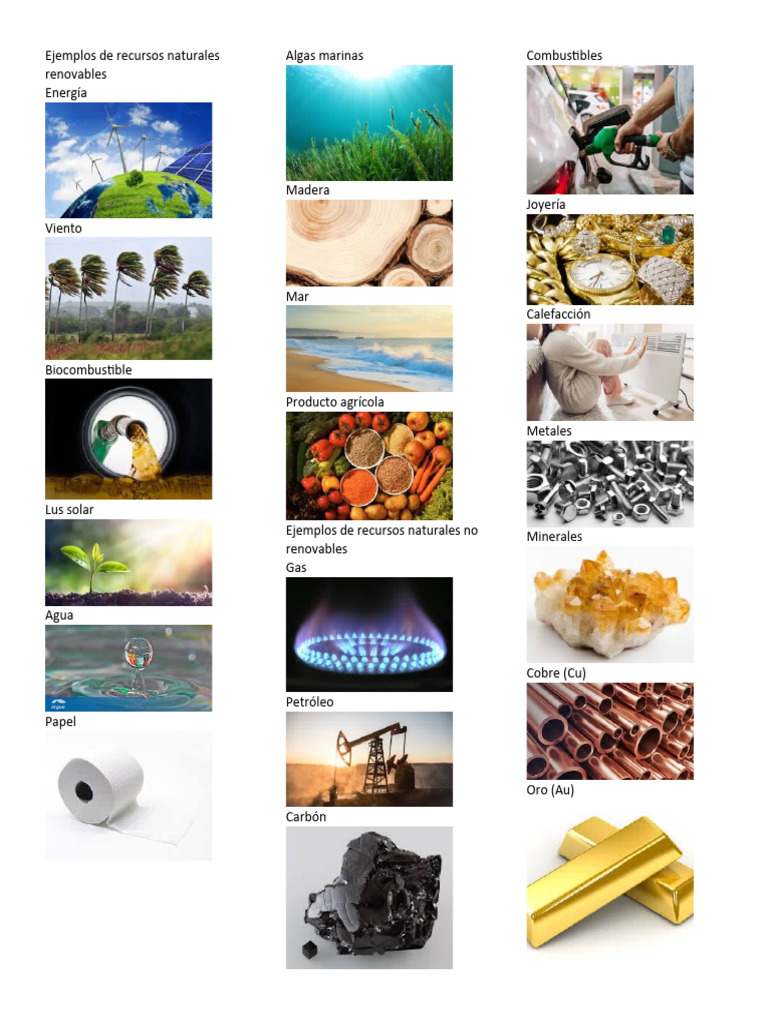 Ejemplos de Recursos Naturales Renovables y No Renovables | PDF