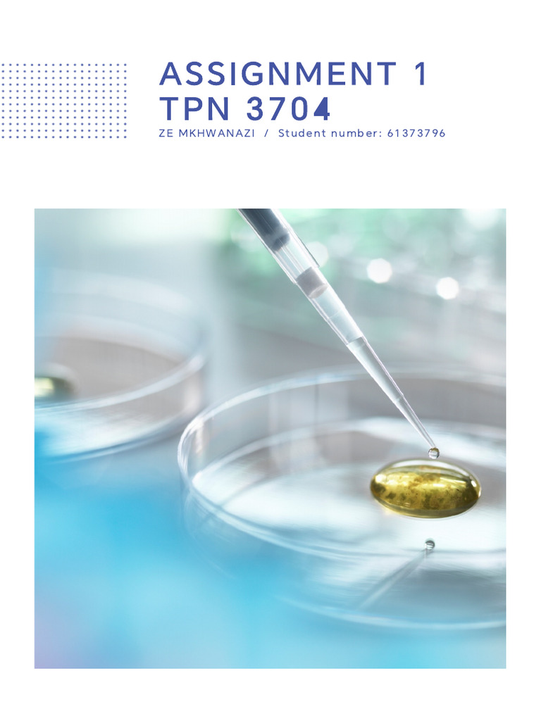 Zinhle | PDF | Learning | Teachers