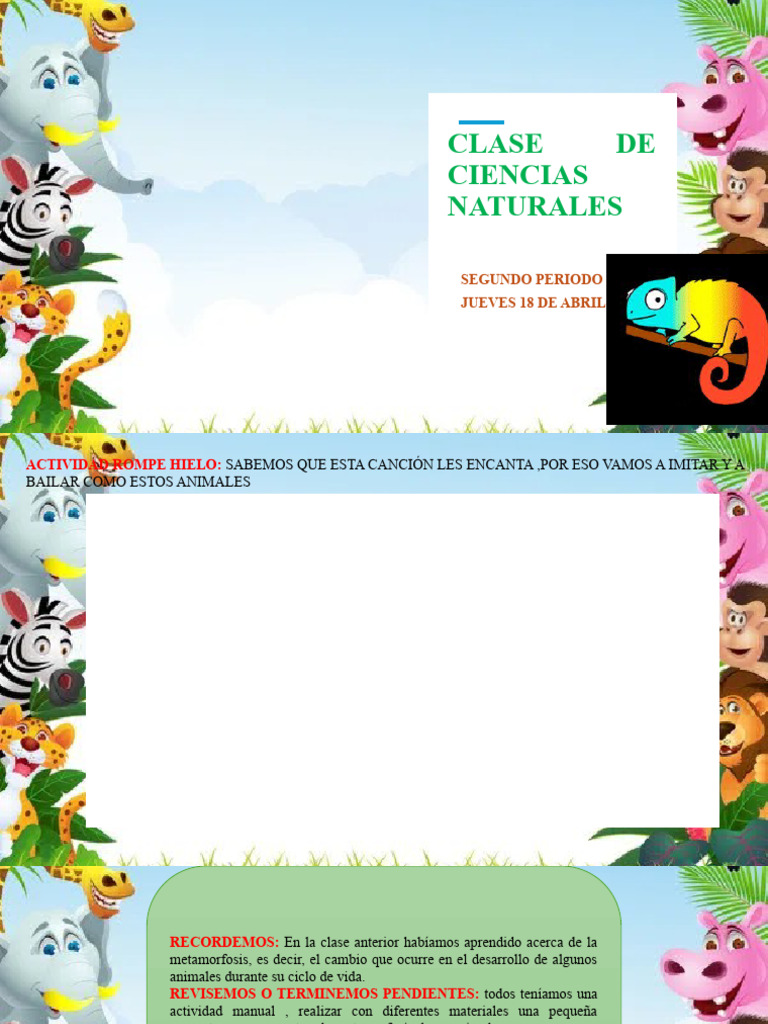 3 Guia Ciencias Naturales Los Animales | PDF | Zoología