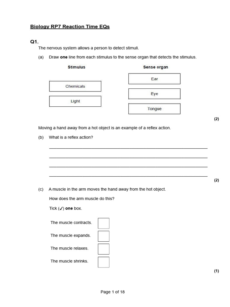 Biology RP7 Reaction Time EQs | PDF | Neuron | Mental Chronometry