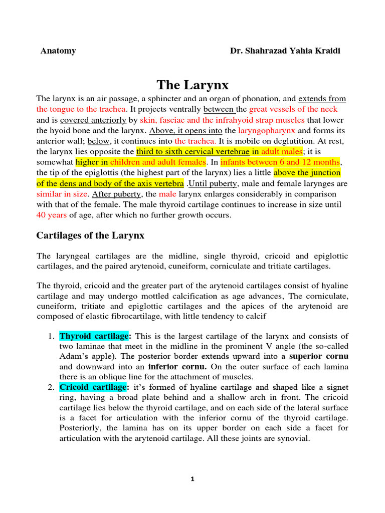Anatomy Lec.3&4 Larynx | Download Free PDF | Larynx | Human Anatomy