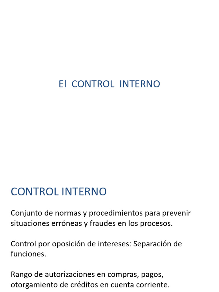 Guía de Control Interno Empresarial | PDF | La seguridad informática ...