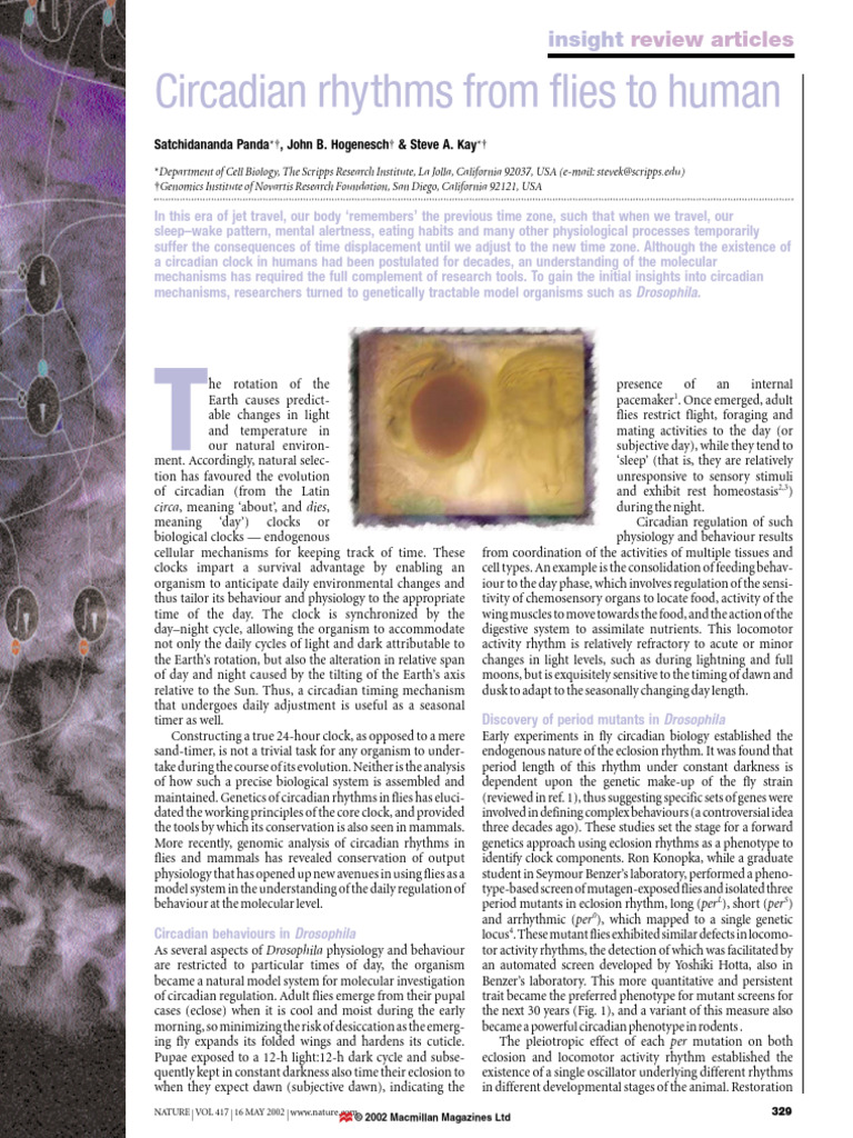 1-Panda 2002 - Circadian Rhythms From Flies To Humans | PDF | Clock ...