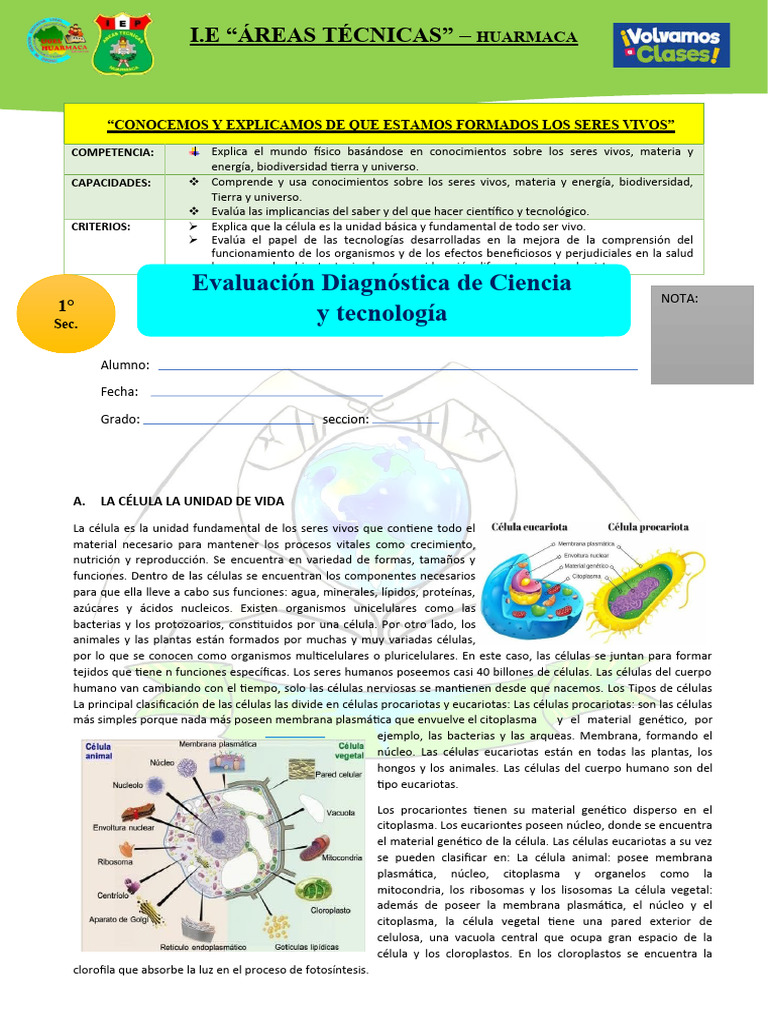 Eva. Diag. - 1 Sec | PDF | Biología Celular) | Organismos