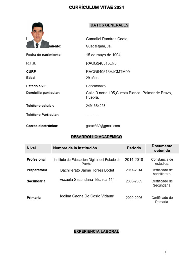 Currículum Vitae Gamaliel Ramírez 2024 | PDF | Negocios