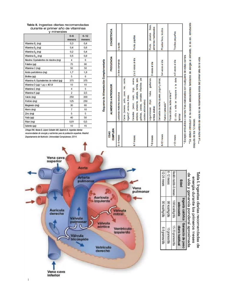 Alimentacion Complementaria | PDF