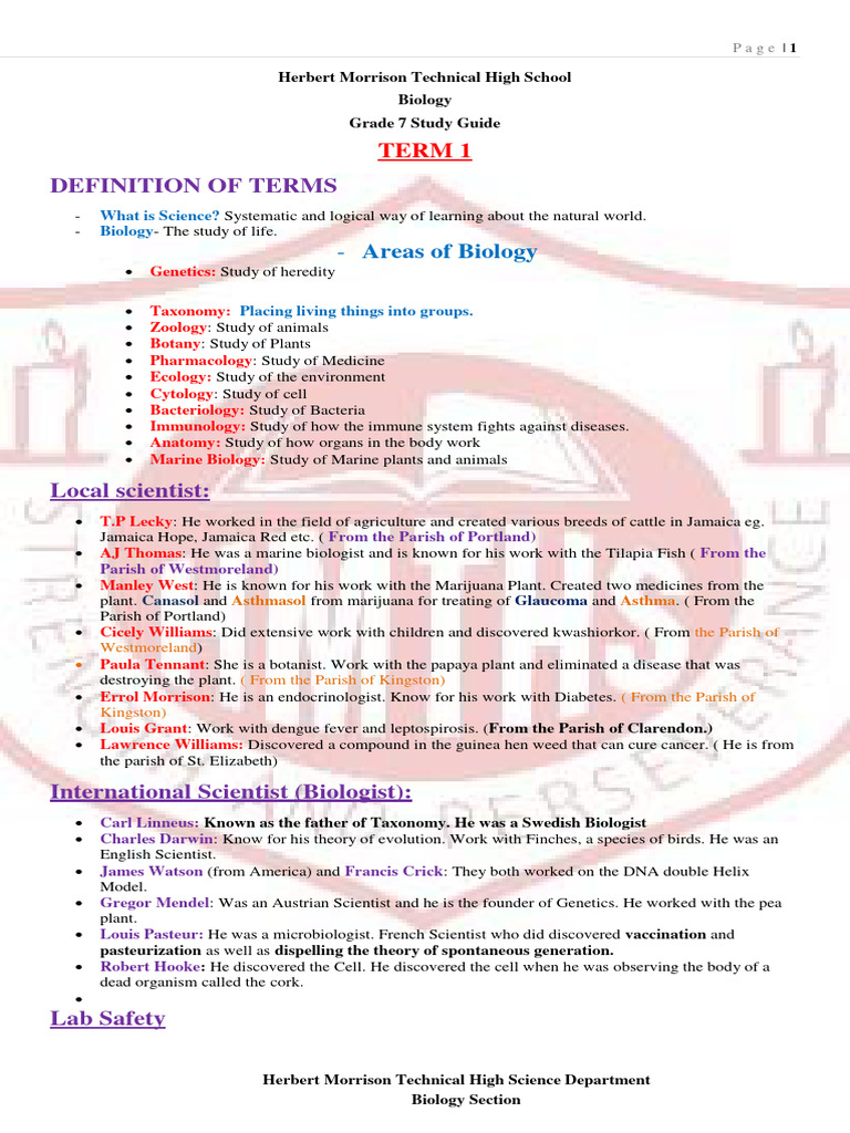 Grade 7 End of Year Biology Study Guide | PDF | Seed | Flowers