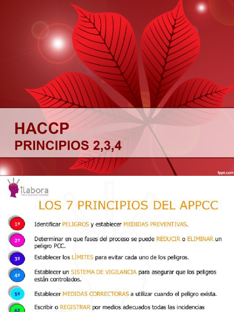 Principios 2,3y4 | PDF | Análisis de Riesgo y Puntos Críticos de Control