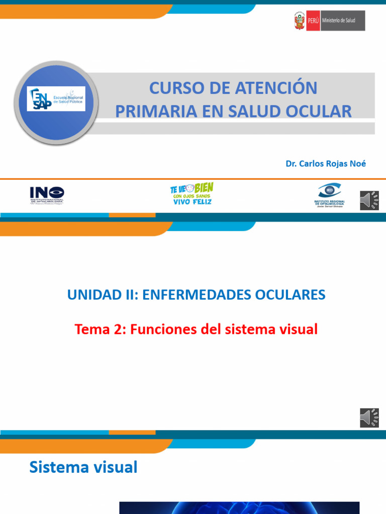 Tema 2 Funciones Del Sistema Visual | PDF | Percepción visual | Sistema ...