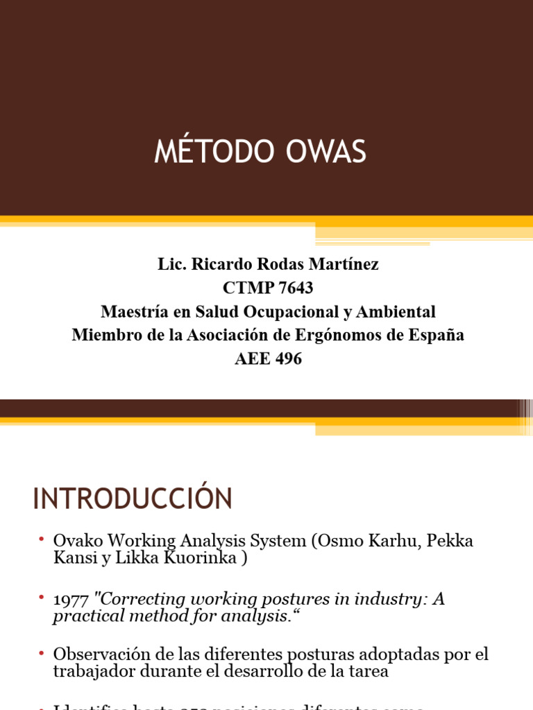 Método Owas | PDF
