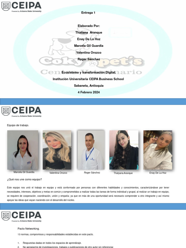 Entrega 1 Ecosistema 2 Pdf Publicidad Digital Marketing