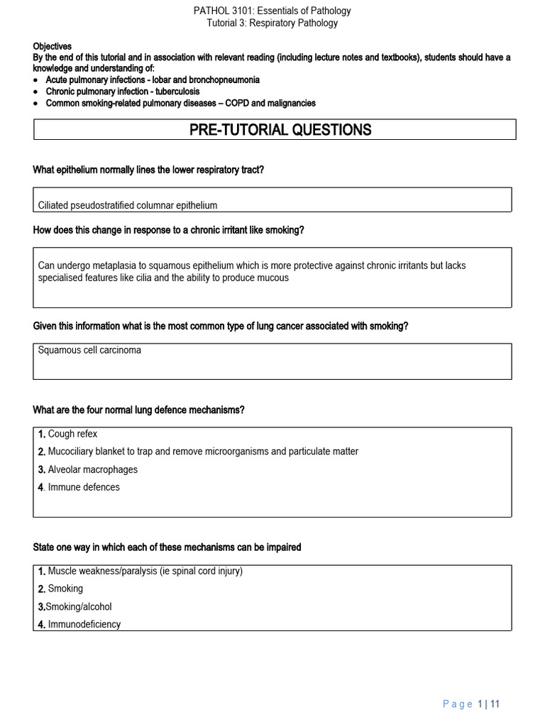 Tutorial 3 2024 - ANSWERS | PDF | Lung | Tuberculosis