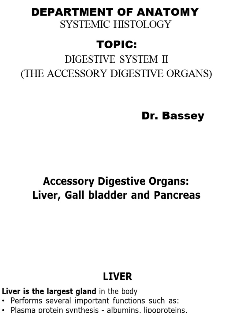 Accessory Digestive Organs '23 | PDF | Liver | Pancreas