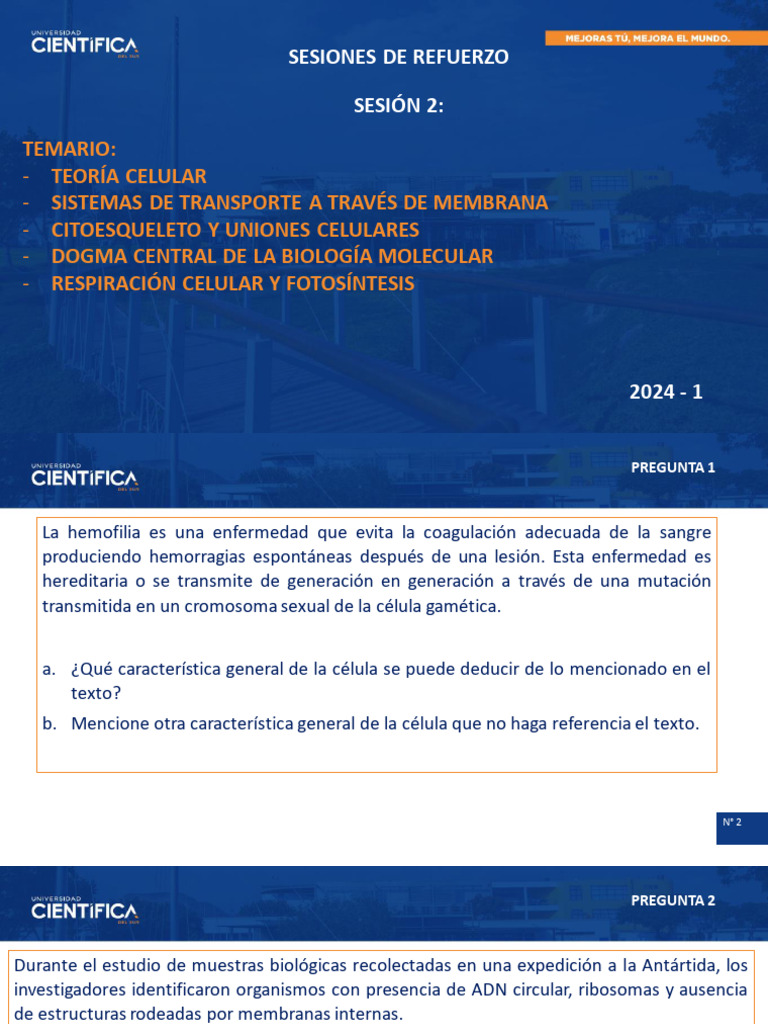 Sesión Cuestionario 2 - Programa de Refuerzo | PDF | Replicación De Adn ...