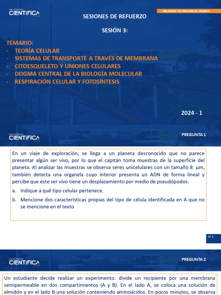 Sesión Cuestionario 3 - Programa de Refuerzo | PDF | Respiración ...