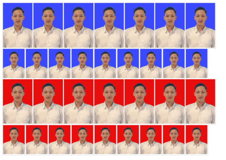 Print Pas Foto | PDF