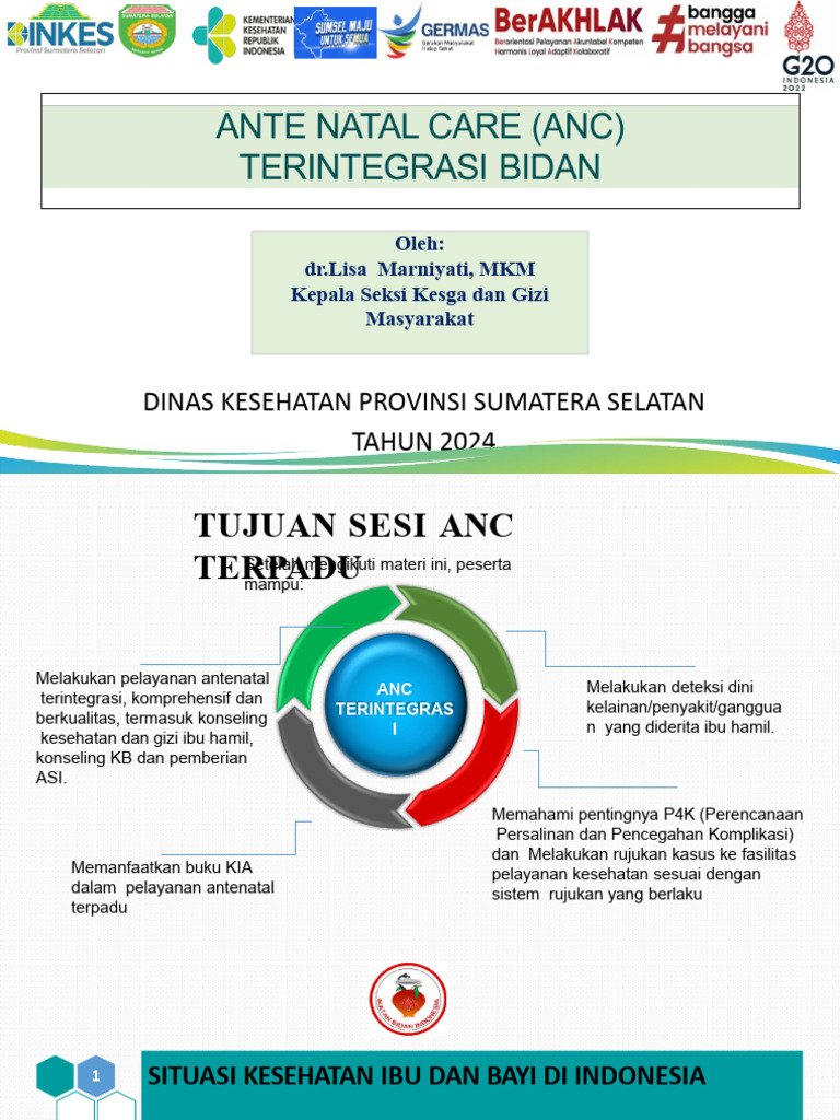 Anc Terintegrasi Bidan | PDF
