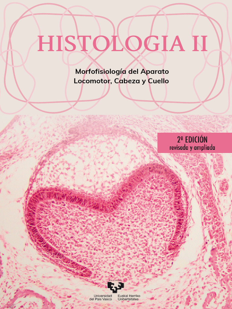 Atlas Morfo 2 | PDF | Piel | Epitelio