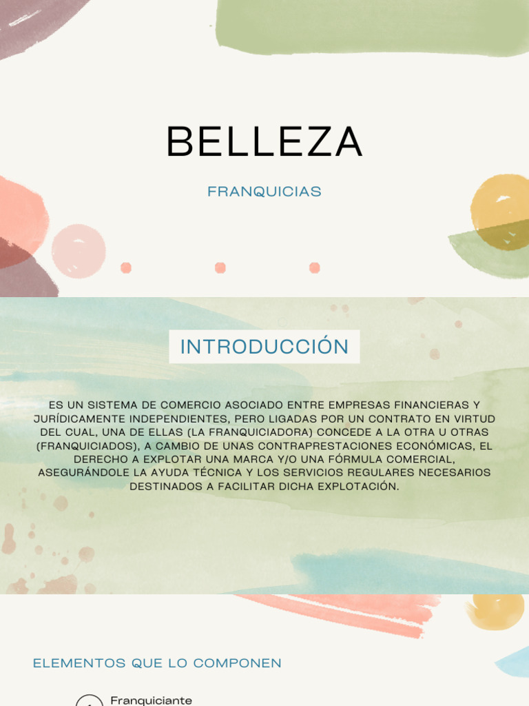 BELLEZA | PDF | Franquiciamiento | Marketing