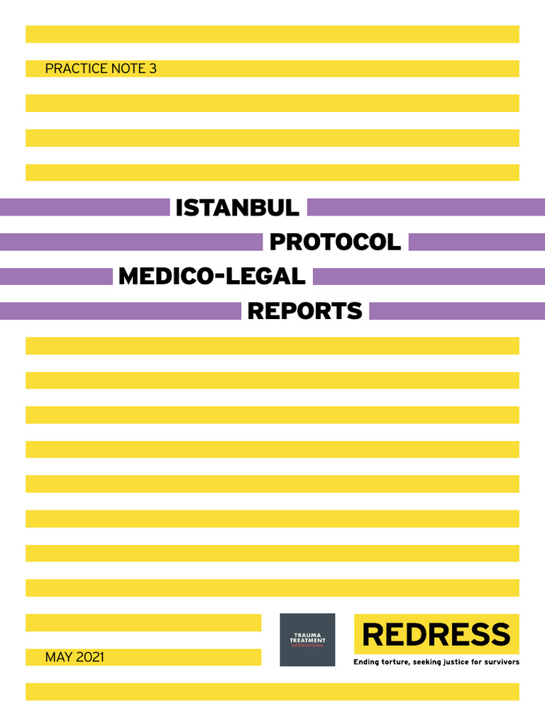 Practice Note 3 Istanbul Protocol Medico Legal Reports | PDF | Torture ...
