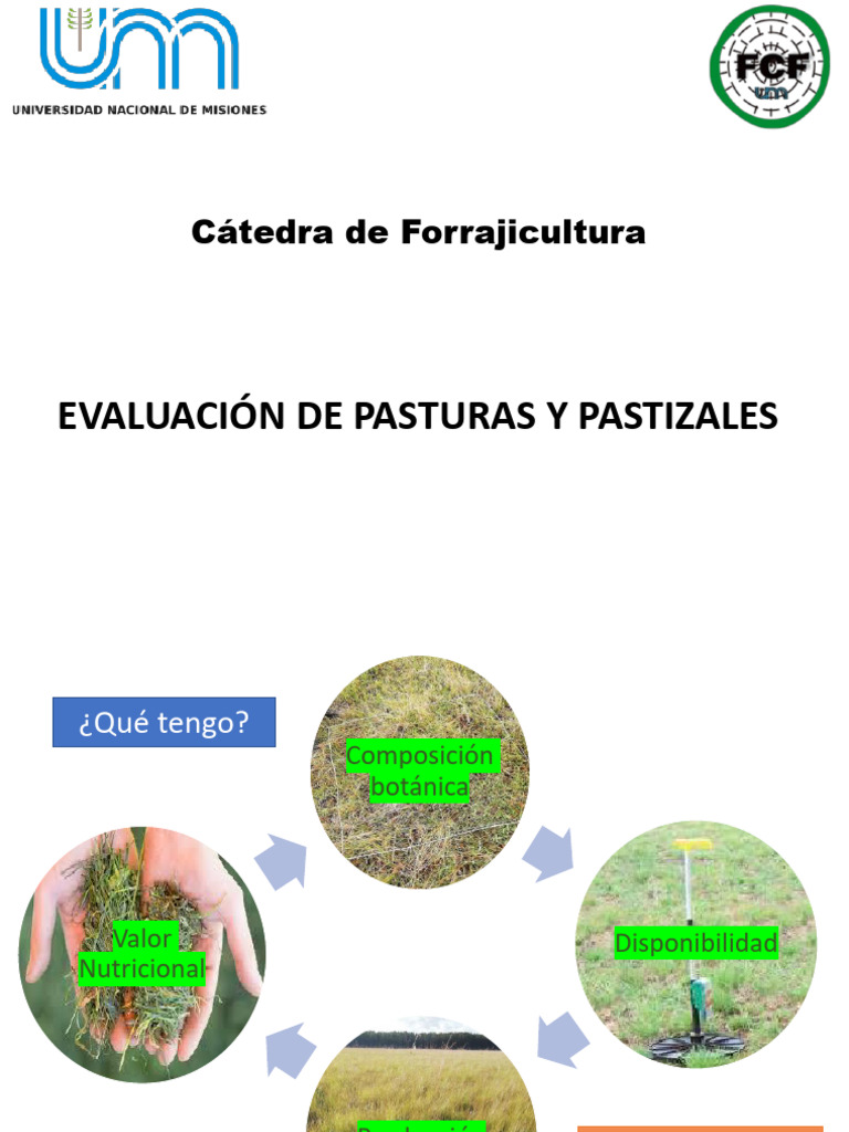 Unidad 5 Evaluación de Pasturas | PDF | Pasto | Proteínas