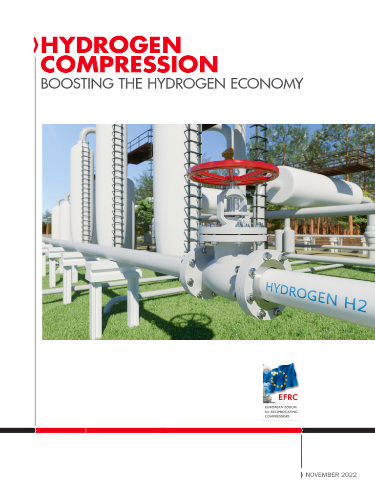 2022-EFRC-WhitePaper-Hydrogen-Compression | PDF | Hydrogen Economy ...