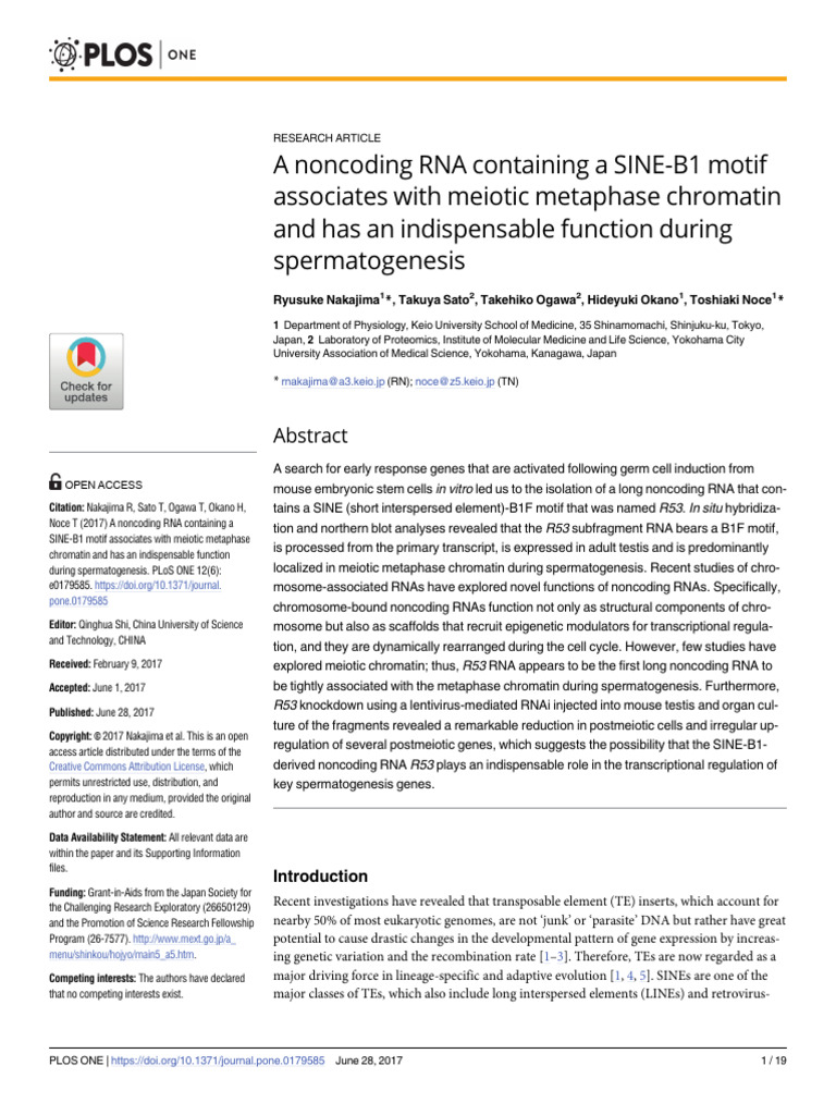 A Noncoding RNA Containing A SINE B1 Motif Associates With Meiotic ...