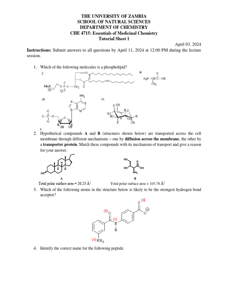 CHE 4715 Tutorial Sheet 1 | PDF | Enzyme Kinetics | Biology