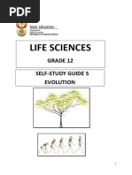 Gr.12 Life Sciences ATP Term 3 2025 | PDF | Homo | Evolution