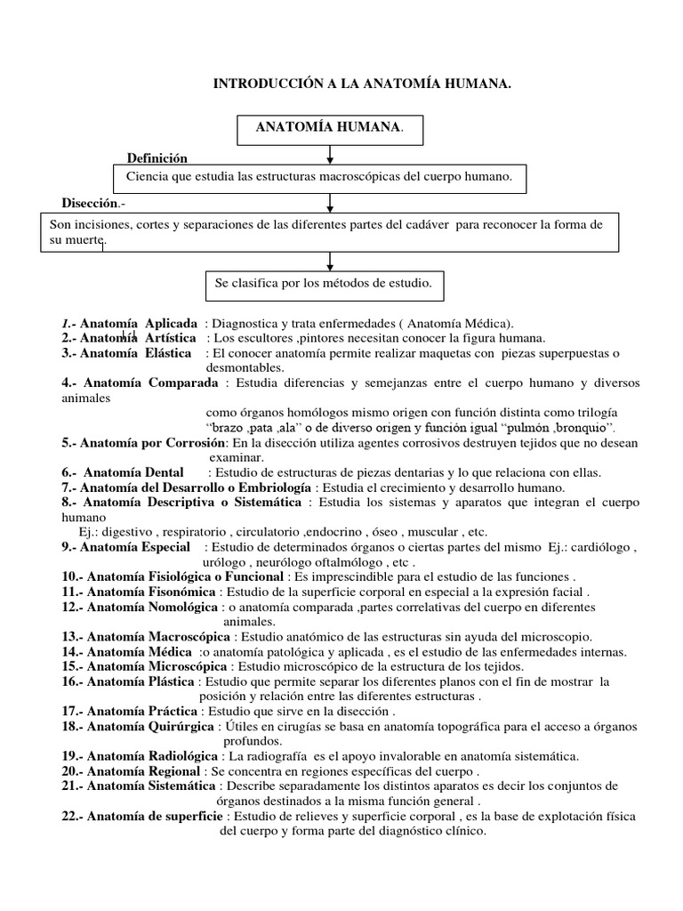Mapas Conceptuales - INTRODUCCIÓN A LA ANATOMÍA HUMANA FINAL | Descargar gratis PDF | Anatomía ...