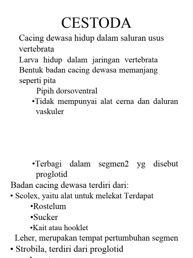 Panduan Cacing Pita dan Infeksi | PDF | Sains & Matematika