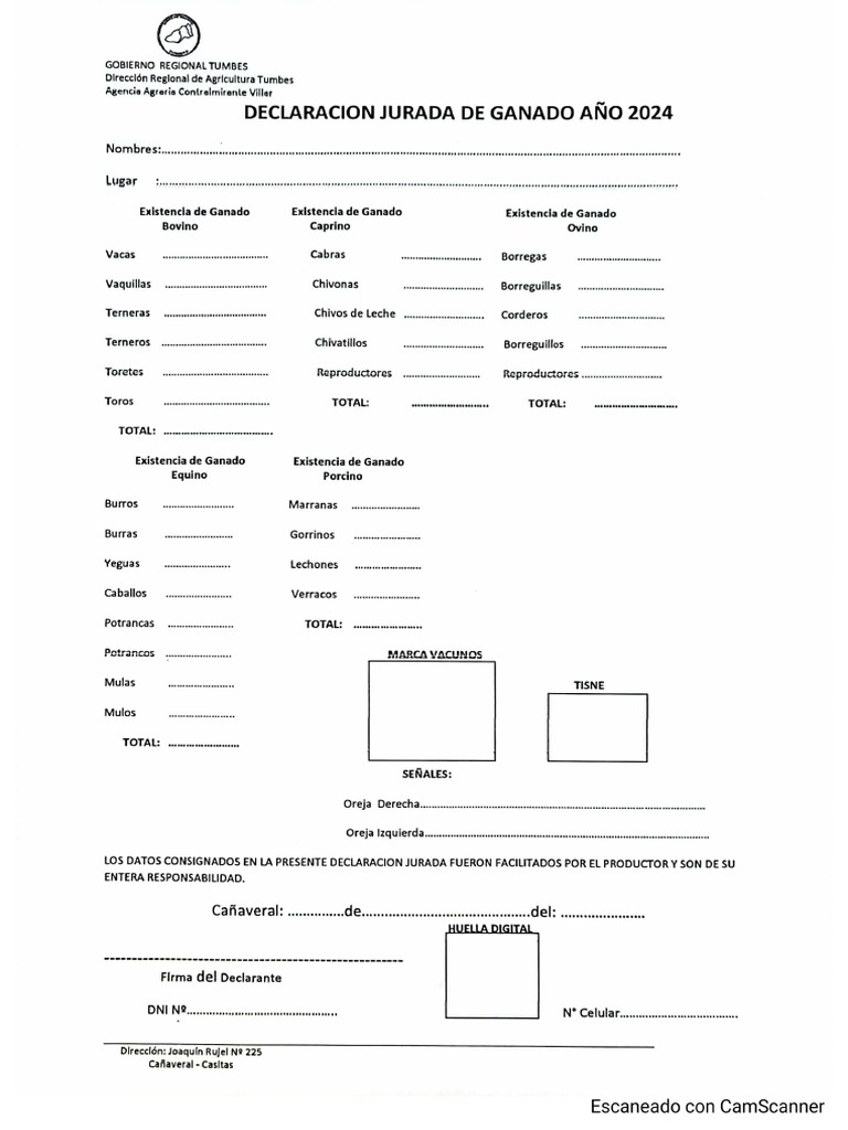 Declaración Jurada 2024 | PDF