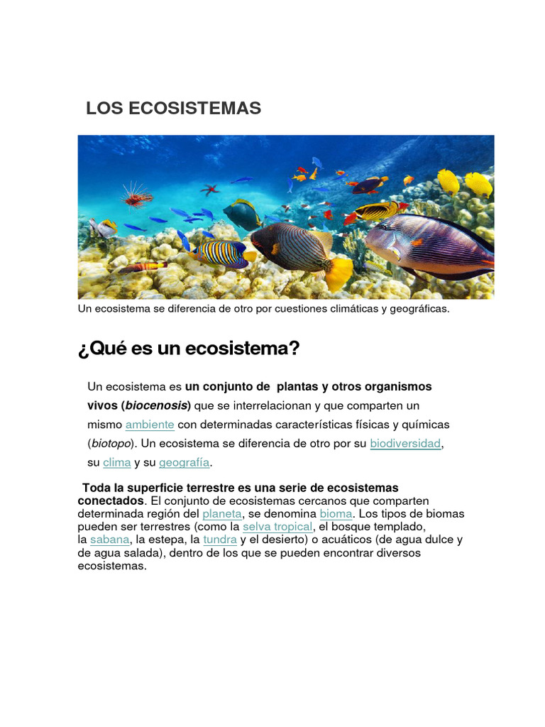 Los Ecosistemas | PDF | Ecosistema | Suelo