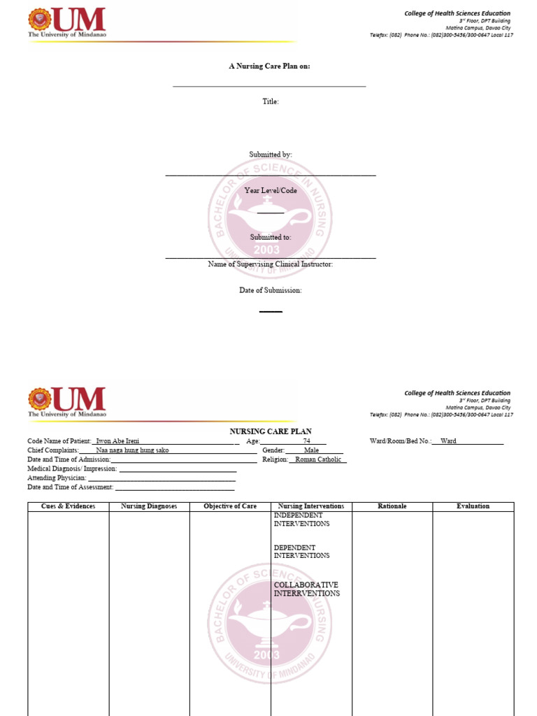 Nursing Care Plan Pdf Nursing Medical Specialties