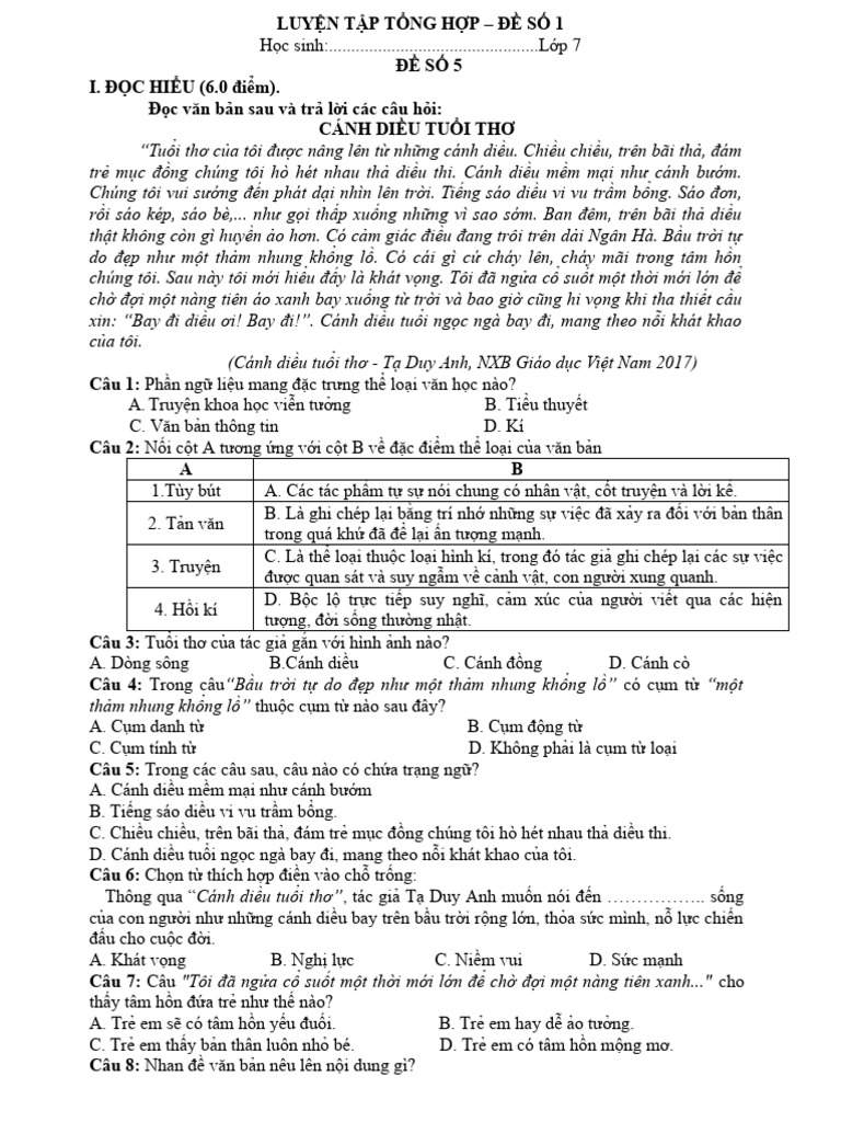 On Tap Tong Hop 7VCS1 17-4 | PDF