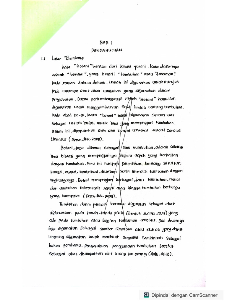 ACC Perc 2 Akar Dan Bunga | PDF